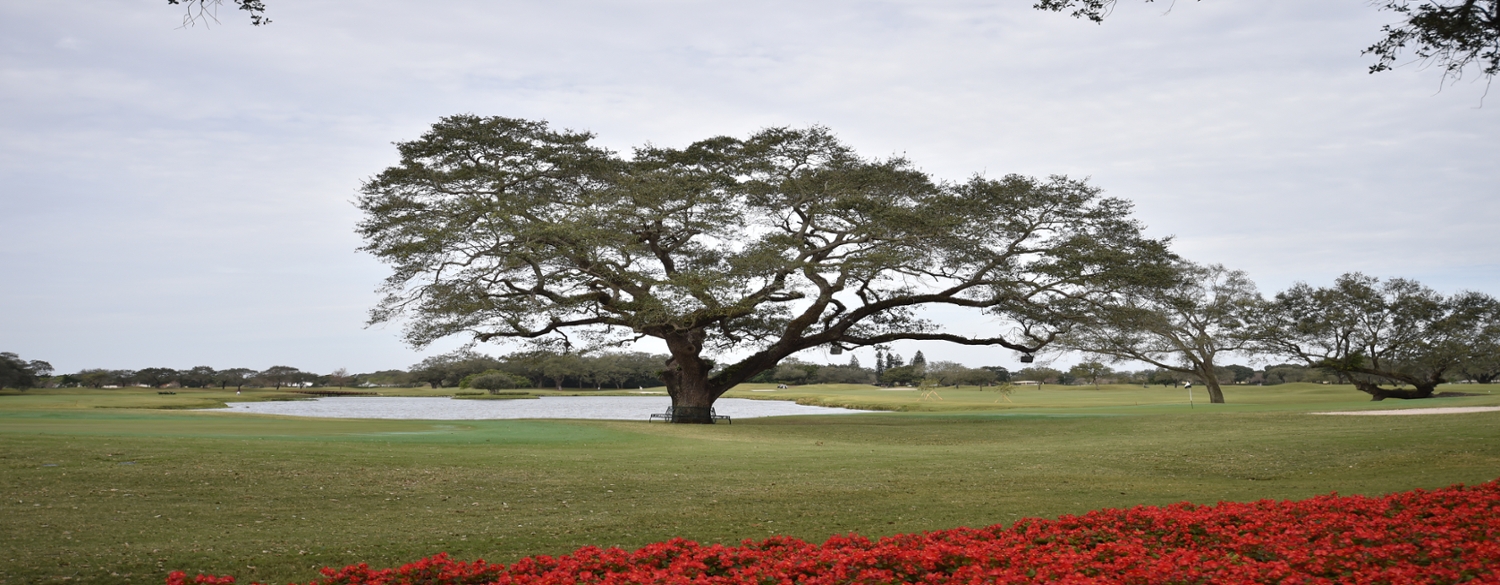 Grande Oaks Golf Club – Fort Lauderdale, FL